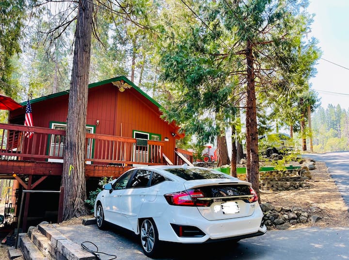 Cozy Cabin In Sherwood Forest - Twain Harte, CA