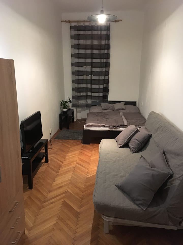 ÚTulné Ubytováni U Centra V Blízkosti Výstaviště - Brno