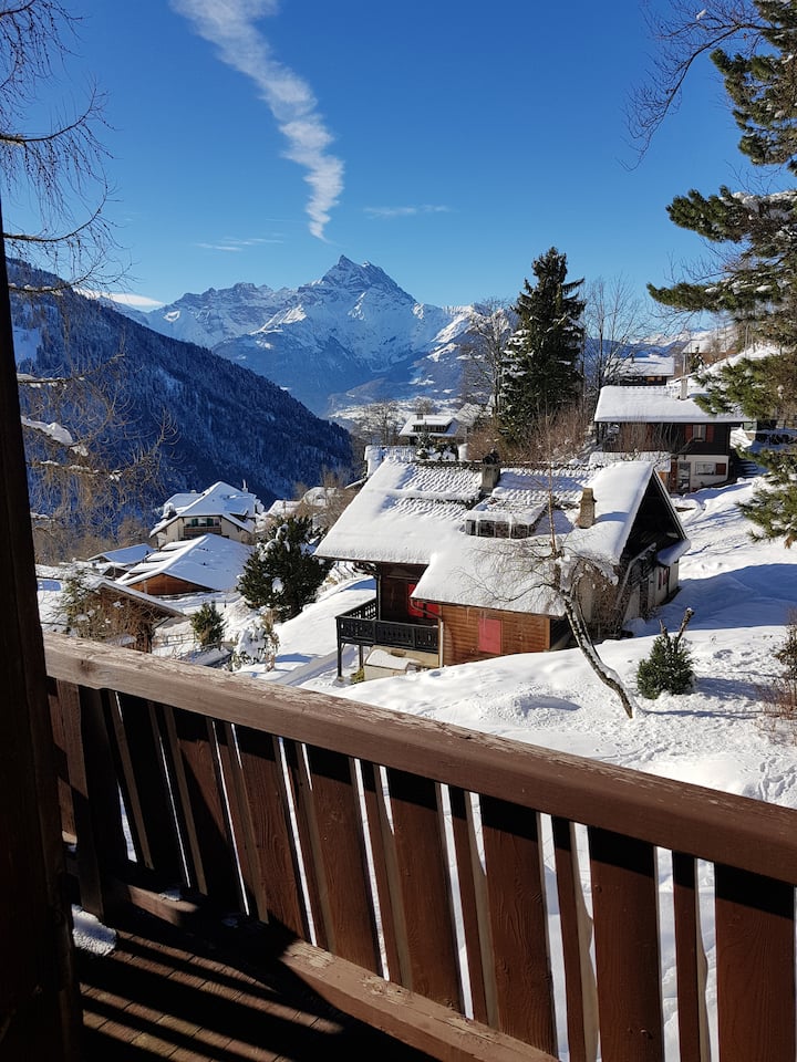 Chalet "Le Naneau" - Leysin