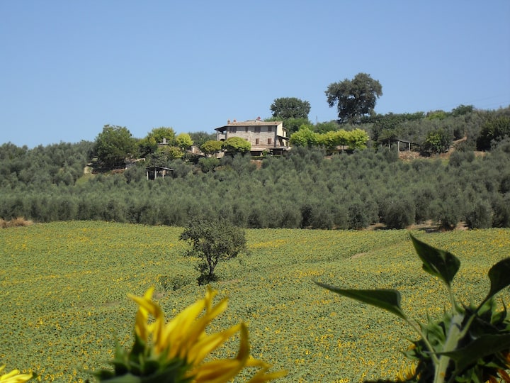 Appartamento In Agriturismo Umbria Nome Rajo - Narni