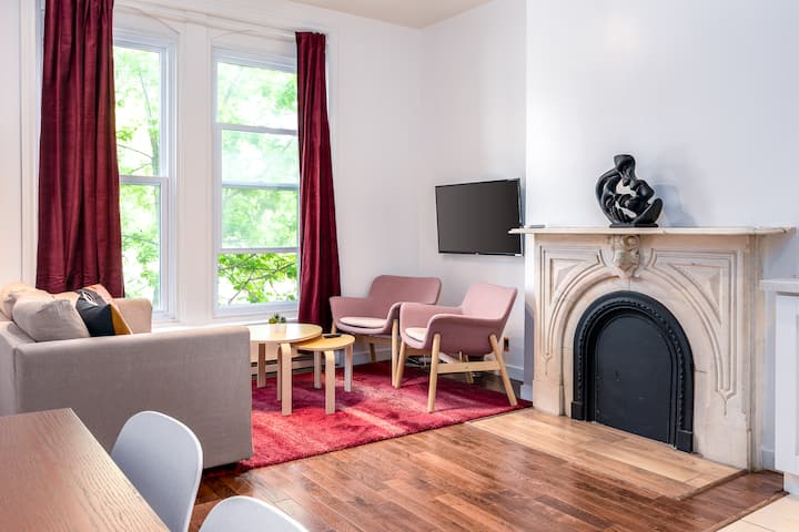 Elegant Downtown Apt For Professionals & Academics - Island of Montreal
