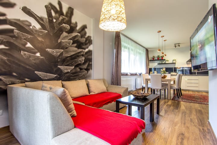 Apartament Flora Zakopane - Zakopane
