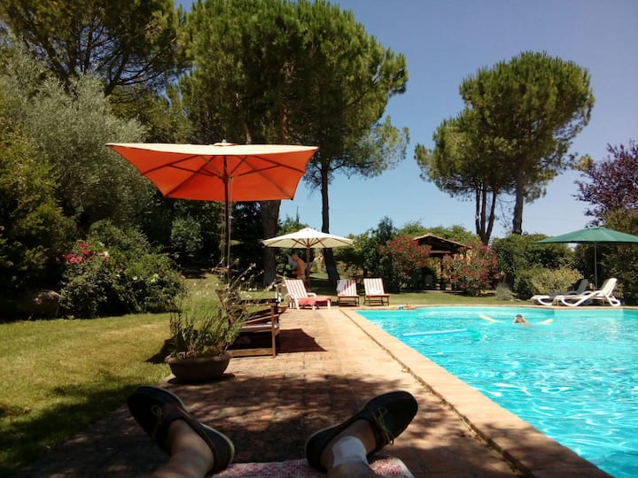 Casale Tipico In Pietra Immerso Nel Verde - Todi