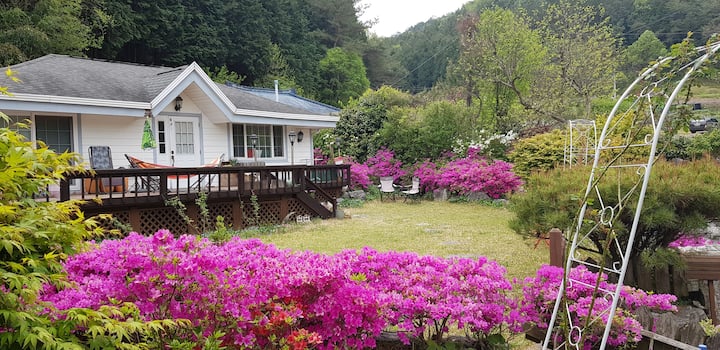 편백나무숲 동화속 전원주택<자연이야기 >단독 사용(Un-tact여행하세요)!~^^ - 고창읍