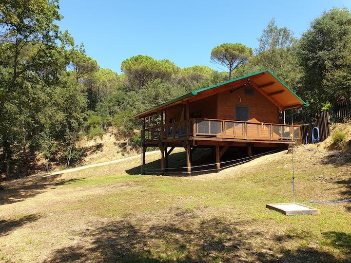 Rustic Cabin In The Woods/cabaña En El Bosque - Amer