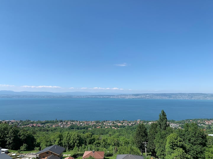 Chalet Avec Vue Imprenable Sur Le Lac Léman - Évian-les-Bains