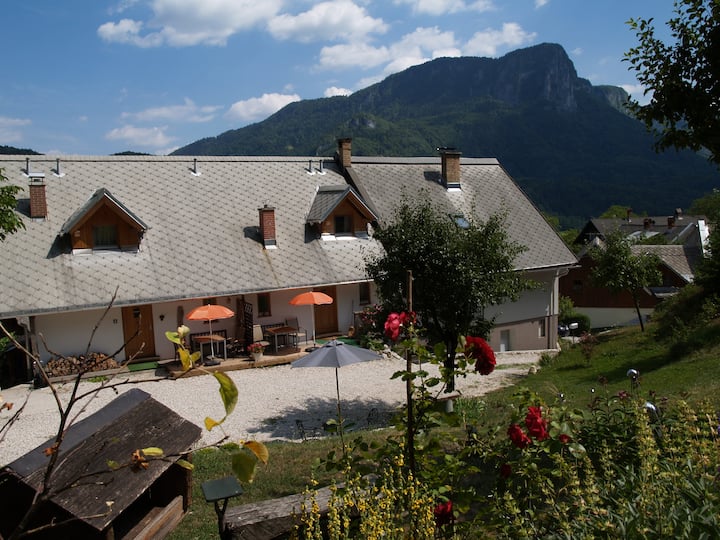 Katricnek Apt. 4 - Bled