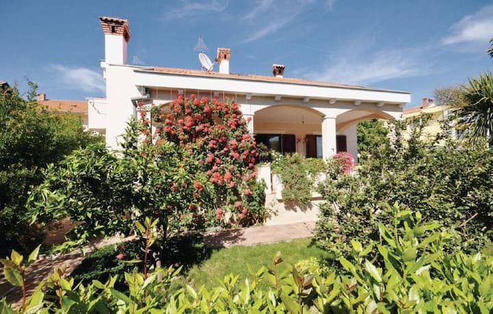 Apartman Vice - Zadar