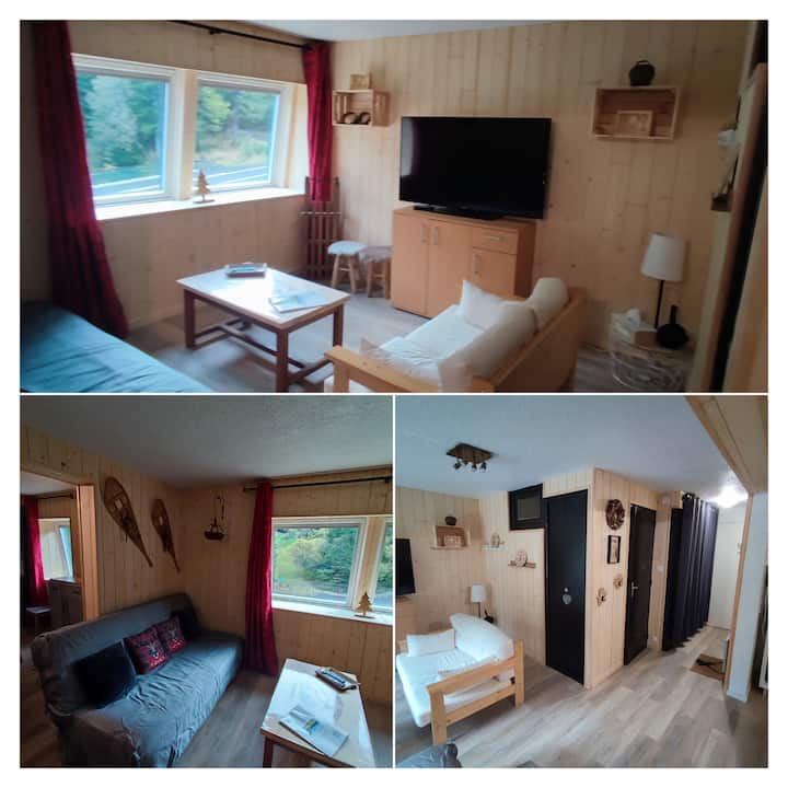 Appartement Aux Pieds Des Pistes - Puy de Sancy