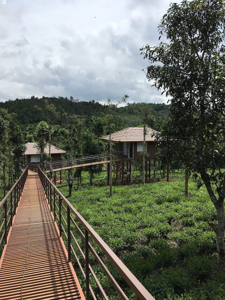 Harmony Farm Wayanad - Sky High Cottage 2 - Bandipur