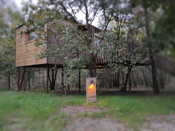 Cabana Dos Carballos. "Cabanas Das Chousas" - Galicia