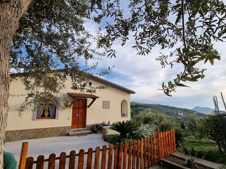 Maison ÉMilie - Massa Lubrense