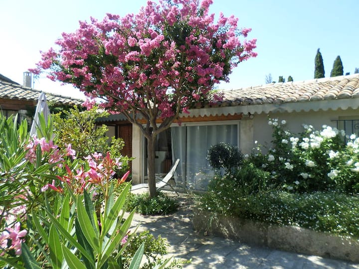 Les Grands Pins - Cavaillon