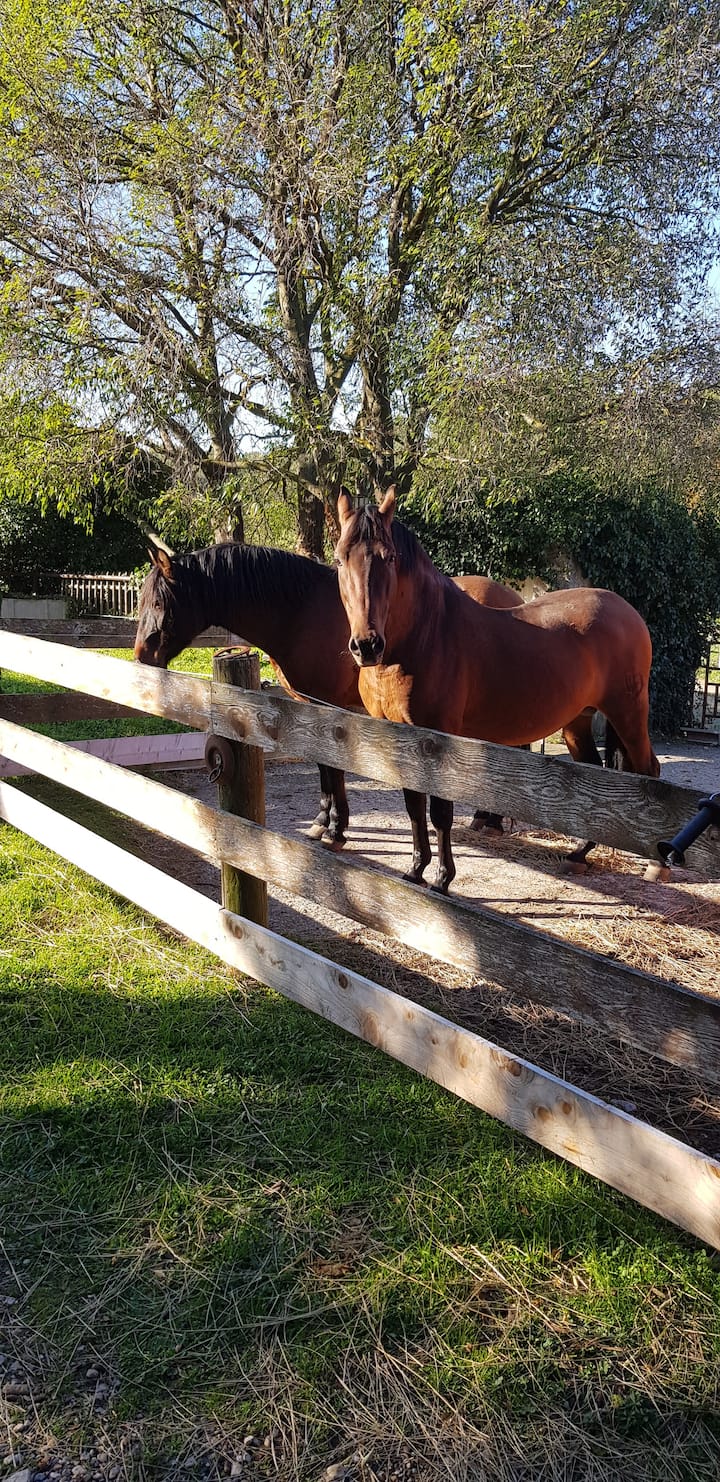 La Maison Sous Les Chênes  ( Mas Cyral ) - Nîmes