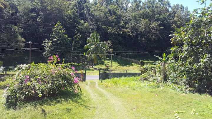 Appart Lumineux à 15 Min De La Plage - Guadeloupe