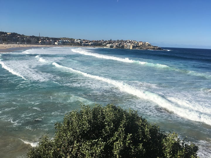 Peaceful Bondi Apartment - Bondi Beach