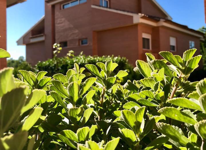 Bonito Y Tranquilo - Paterna