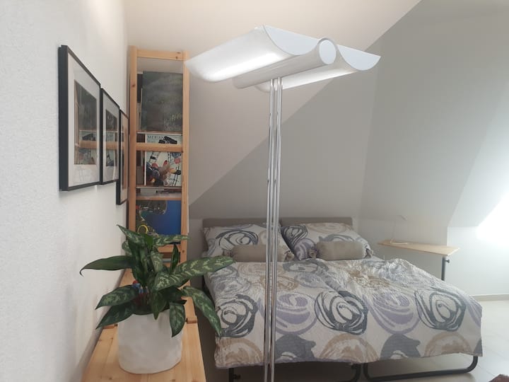 Zimmer In Apartment Mit Terasse Und Bergsicht - Lucerne