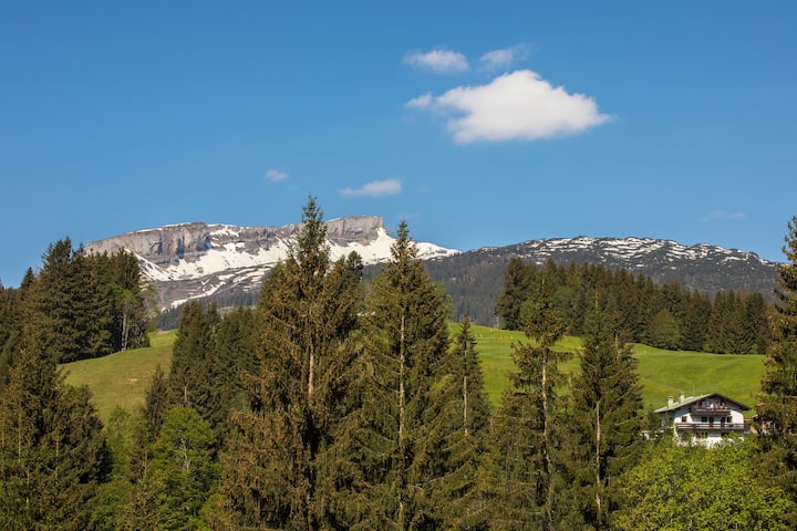Your Home Away From Home In Kleinwalsertal - Riezlern