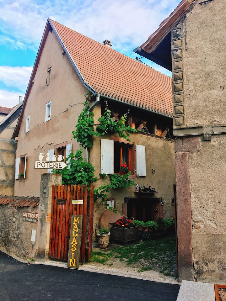 Havre De Paix Au Coeur De L'alsace - Dambach-la-Ville