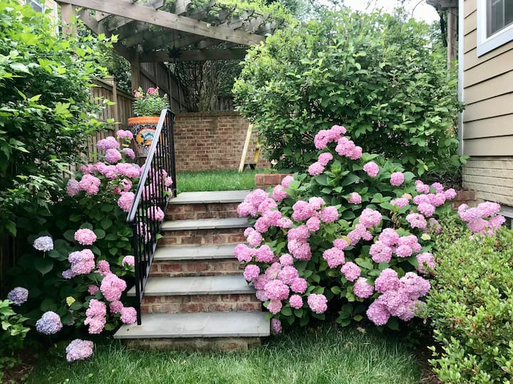 La Casa Maya - 실버스프링