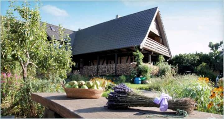 Ferienhaus Ilse Wohnung 1 Am Hafen Von Zecherin - Wolgast