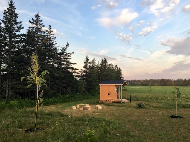 The Grumpy Professor's Rustic Stargazing Cabin - Prince Edward Island