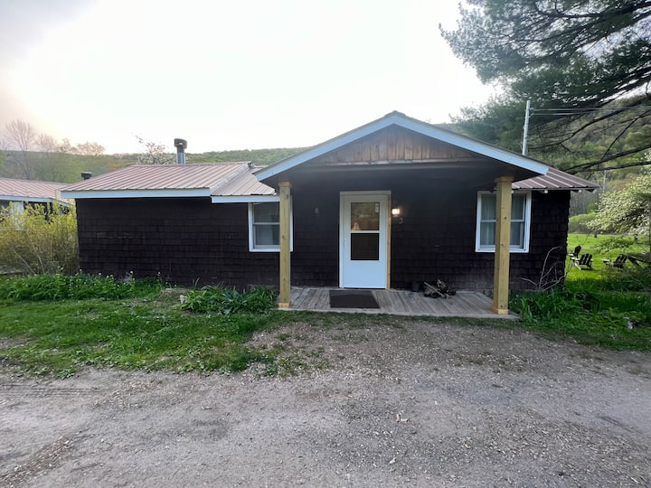 Cold Spring Lodge Cabin #3 Mountain And Stargazing - Phoenicia, NY