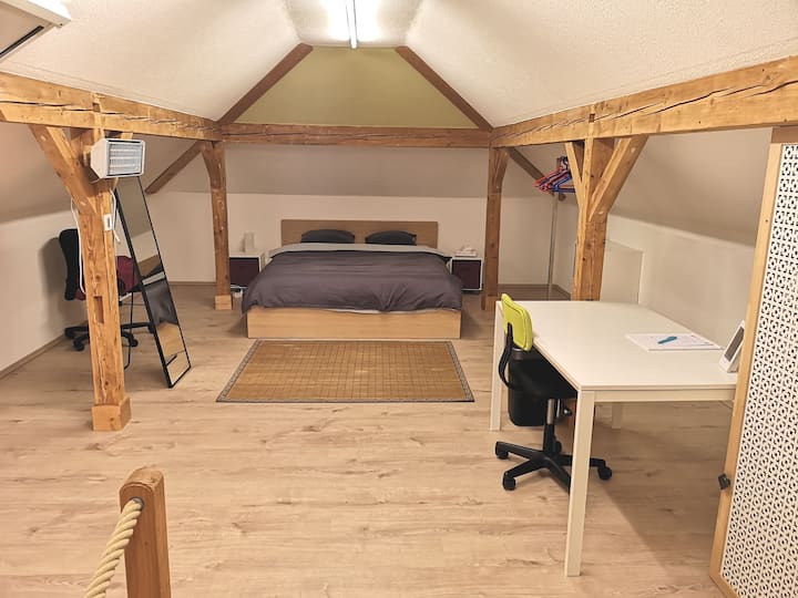 Chambre Privée De 45m2 Dans Maison Individuelle - Basel