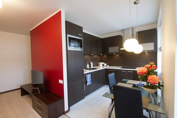 Luxury Ap. In Quiet & Historical Area - Riga