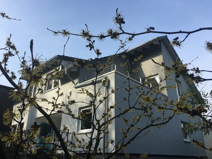 At Home - Between Cologne And Düsseldorf - Leverkusen