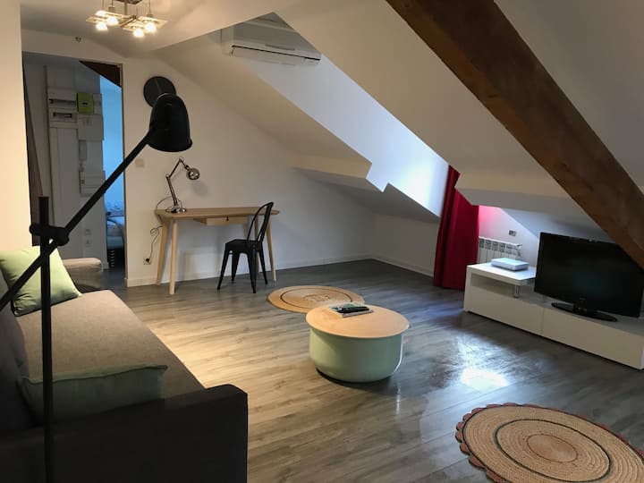 [Château] - Appartement T1bis Coeur Historique - Lourdes