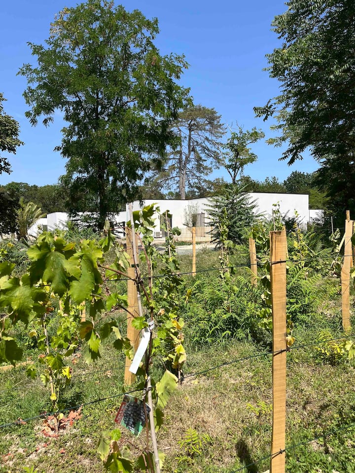 Maison Neuve Cadre Exceptionnel - La Rochelle
