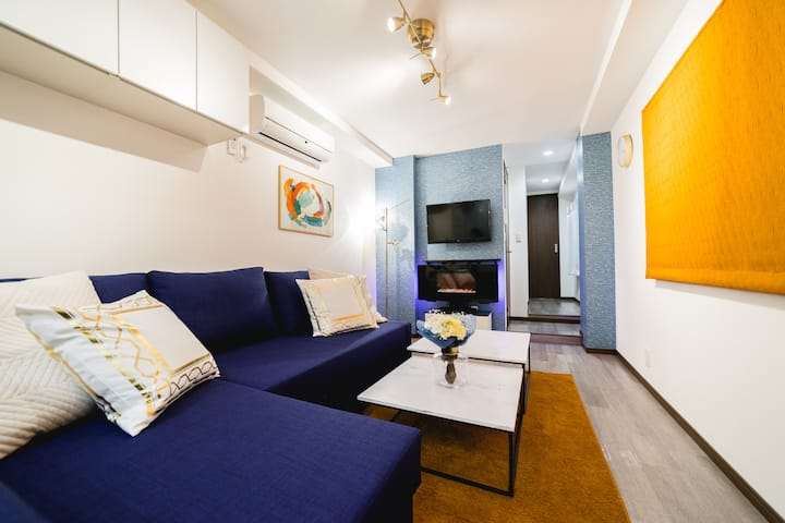 T新宿中心地段slh，駅4分钟，大型一幢，5ldk，可容纳16人 - Shinjuku City