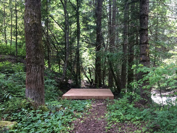 Sproule Creek Tent Pad #2 - Nelson
