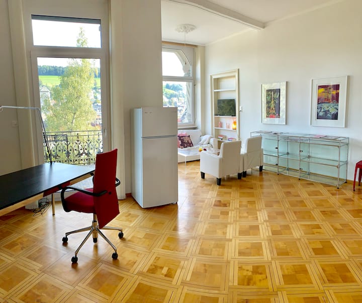Big Lux. 1 Room Apartment St. Gallen Very Central - St. Gallen