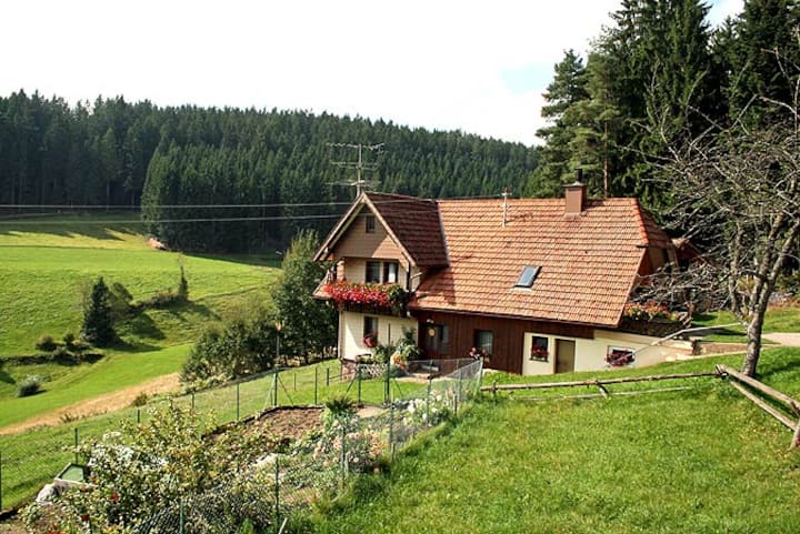 Charming Apartment In The Black Forest! - Schramberg