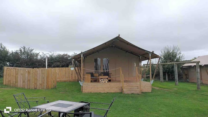 Willow Tree Safari Tent - North Yorkshire