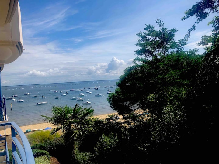 T2 Pieds Dans L'eau Arcachon L'aiguillon - La Teste-de-Buch