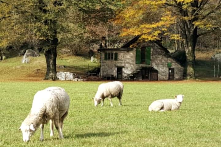 Rustico Lucia, Avegno Torbecc/vallemaggia/ticino - Maggia