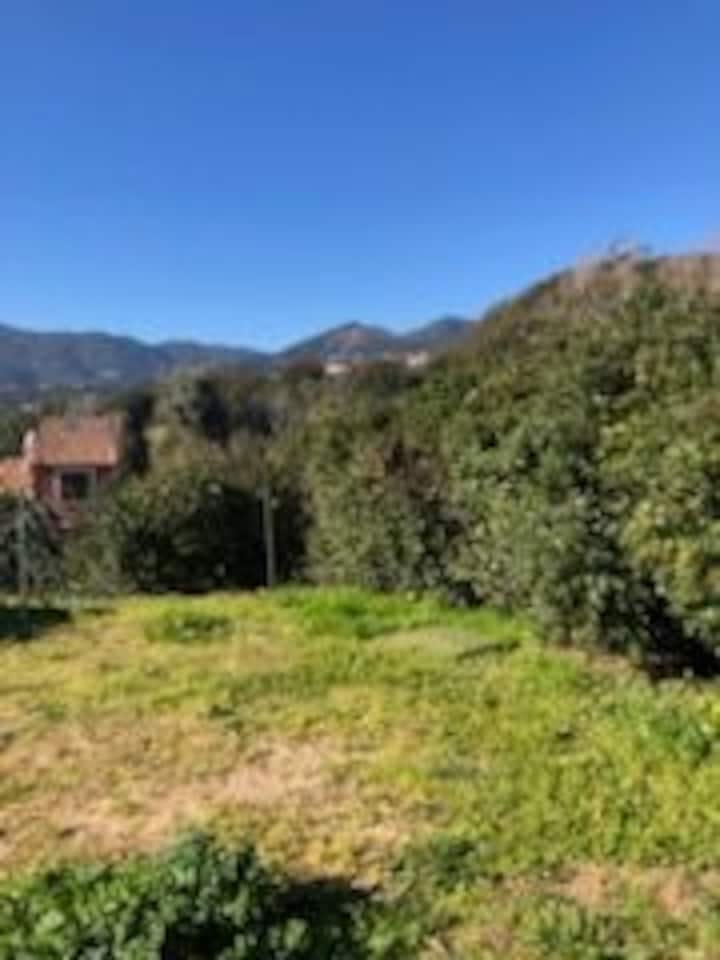 Villa En Corse Du Sud
Entre Mer Et Montagne - Calcatoggio