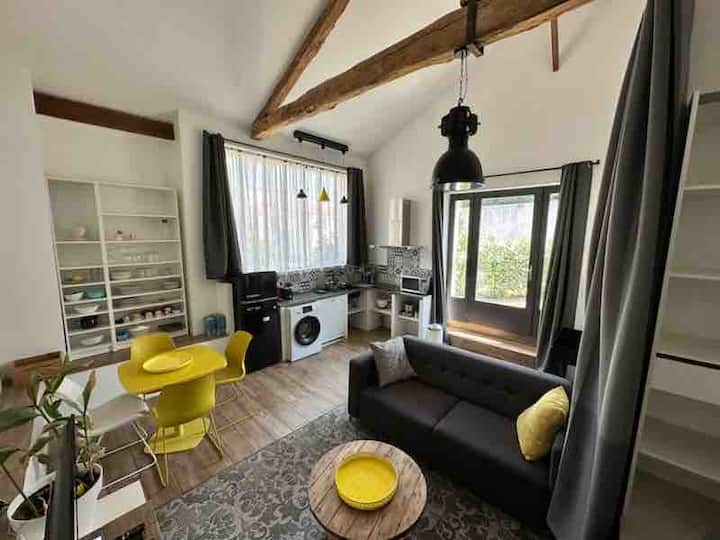 Loft Climatisé+jardin+parking Privé Gratuit+ Wifi - Carcasona