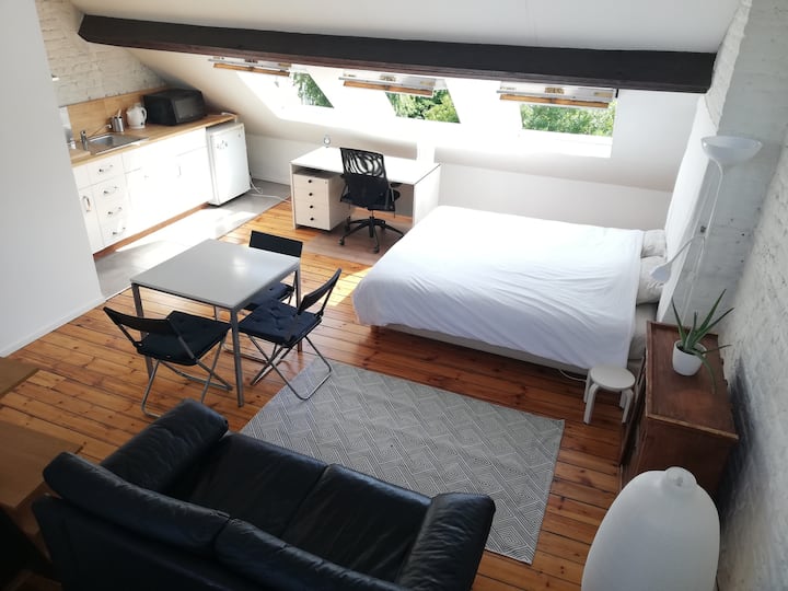Spacious Bright Loft - Saint-Gilles