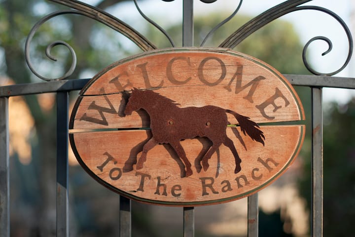 Hsr19-001411

The Mother Ranch 4 Horse Barn - Magic Mountain, CA