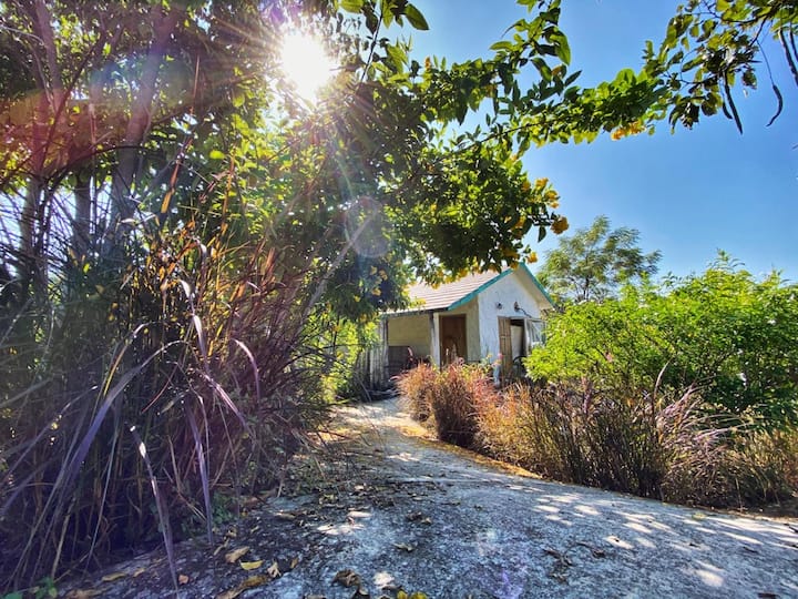 Mandaal, A Wildlife Experience - Uttarakhand