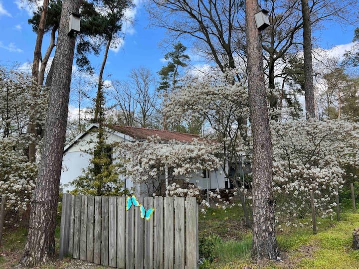 Ruime Chalet I/h Bos Met Grote Tuin En Zwembad. - Hengelo