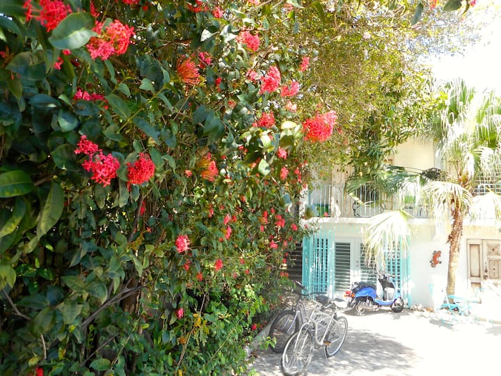 Casa Nirvana #1.  Location, Comfort, Tranquility.. - Culebra