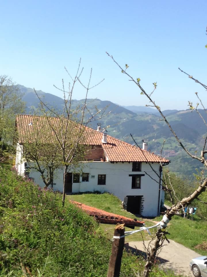 Apartamento Completo 75m,terraza Plena Naturaleza - Elgóibar