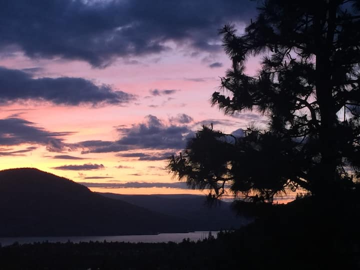 Best View Separate Entrance Suite - Penticton
