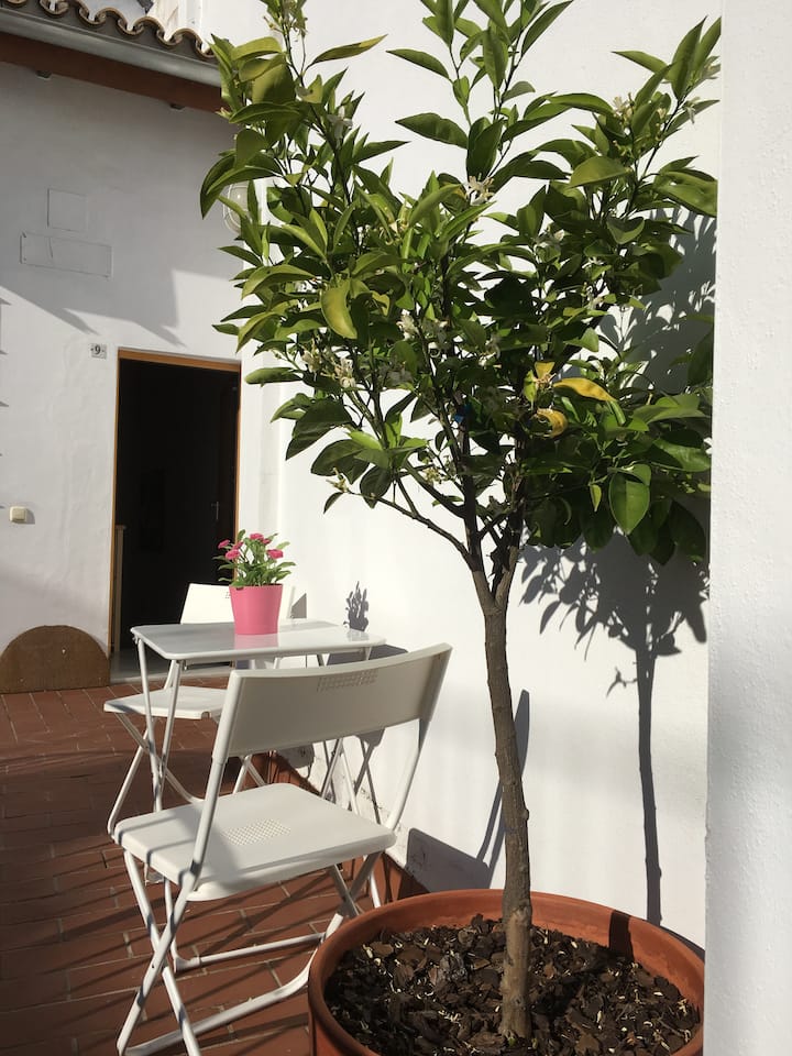 Sevilla Catedral - Francos - Séville